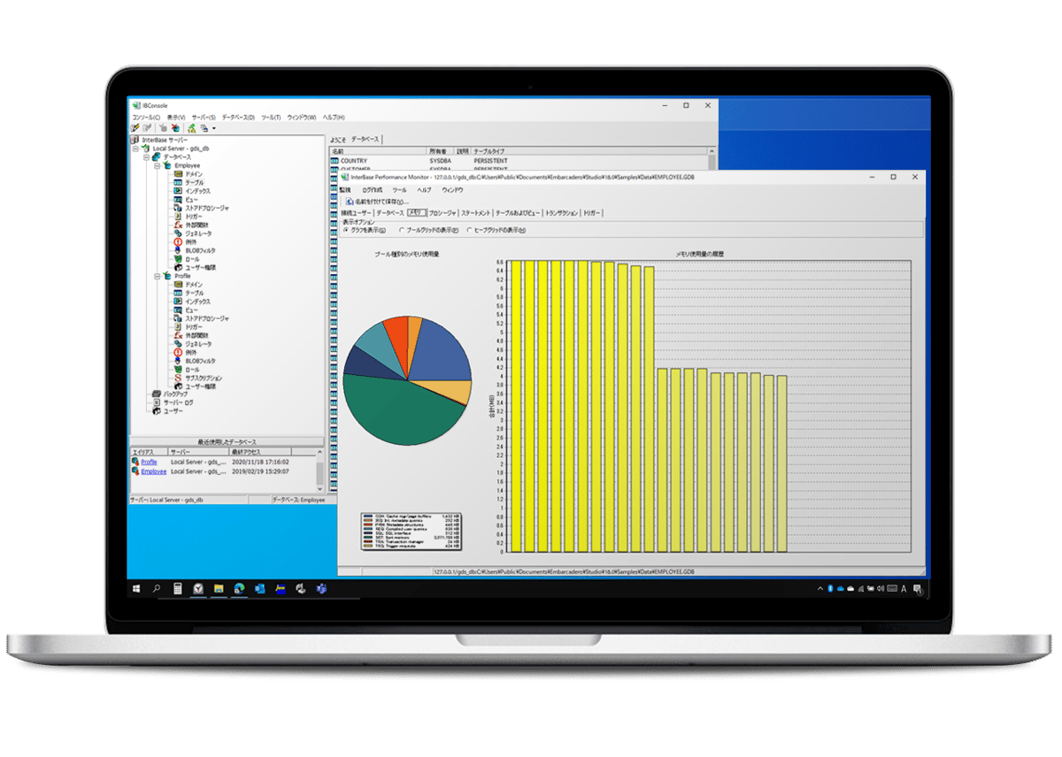 InterBase 2020 Server Edition | EMBARCADERO DIRECT