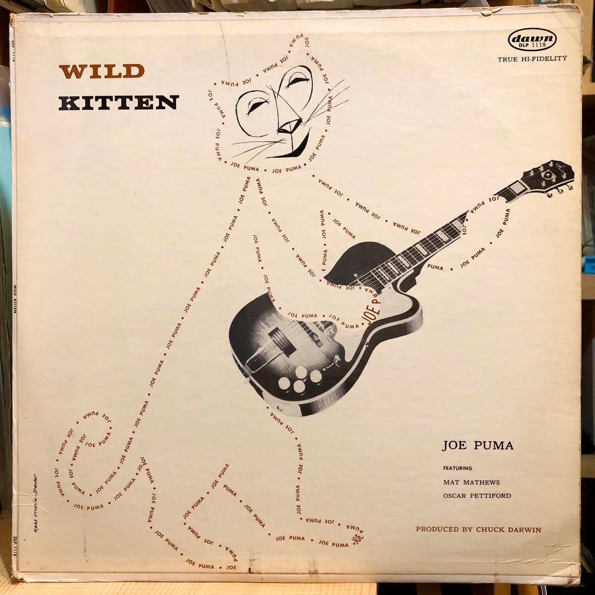 Joe Puma / WILD KITTEN | FUN FUN FUN RECORD