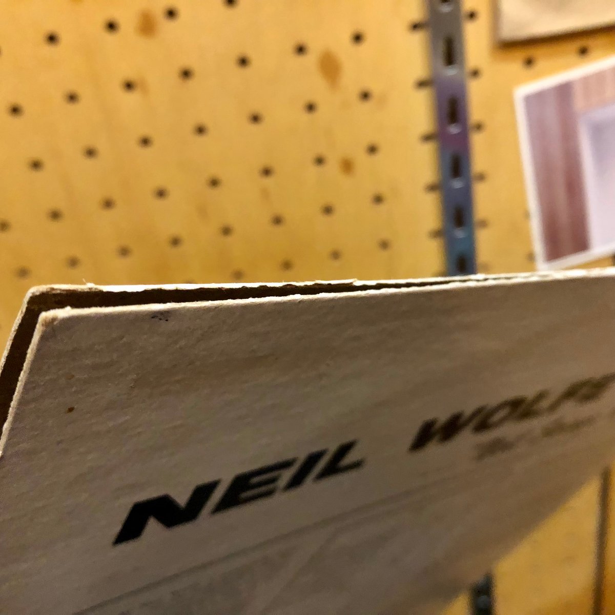 Neil Wolfe / NEIL SWINGS NICELY | FUN FUN FUN R...