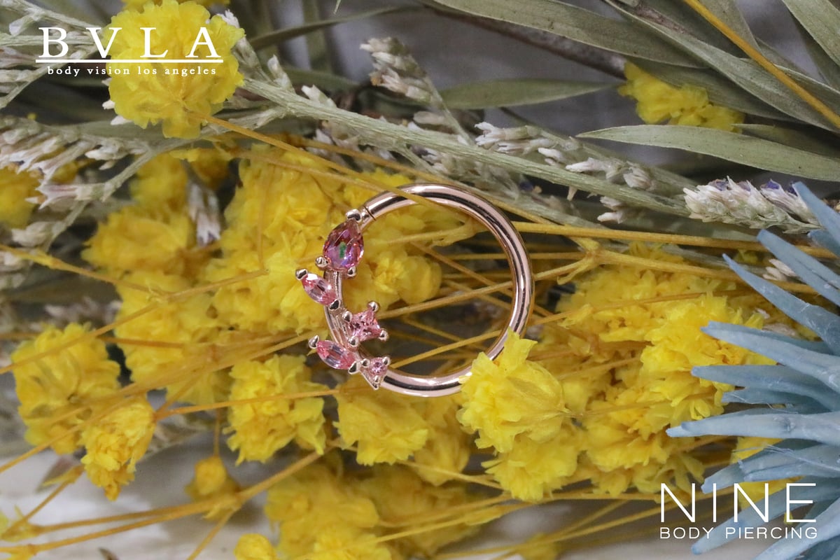 BVLA 新入荷！！！ | NINE BODY PIERCING