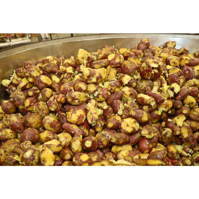 【焼酎3本セット】180mlアソートセット3A（化粧箱付き）／五島列島酒造 | 五島列島マルシェ