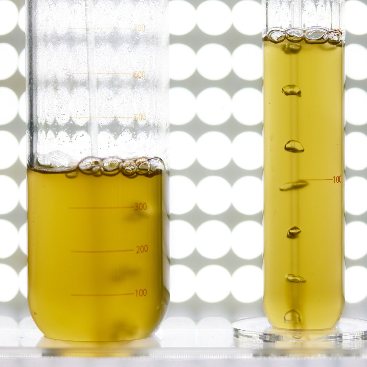 【BSCI】FX Serum／ブルーサイエンティフィック新上五島 | 五島列島マルシェ