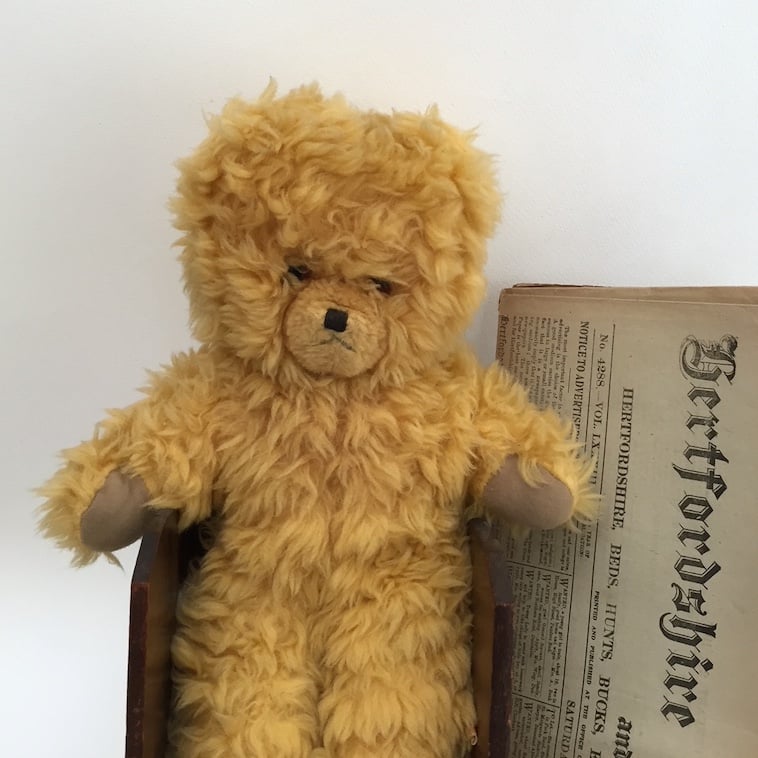 stuffed bear / アンティークテデイベア くまのぬいぐるみ | cocon