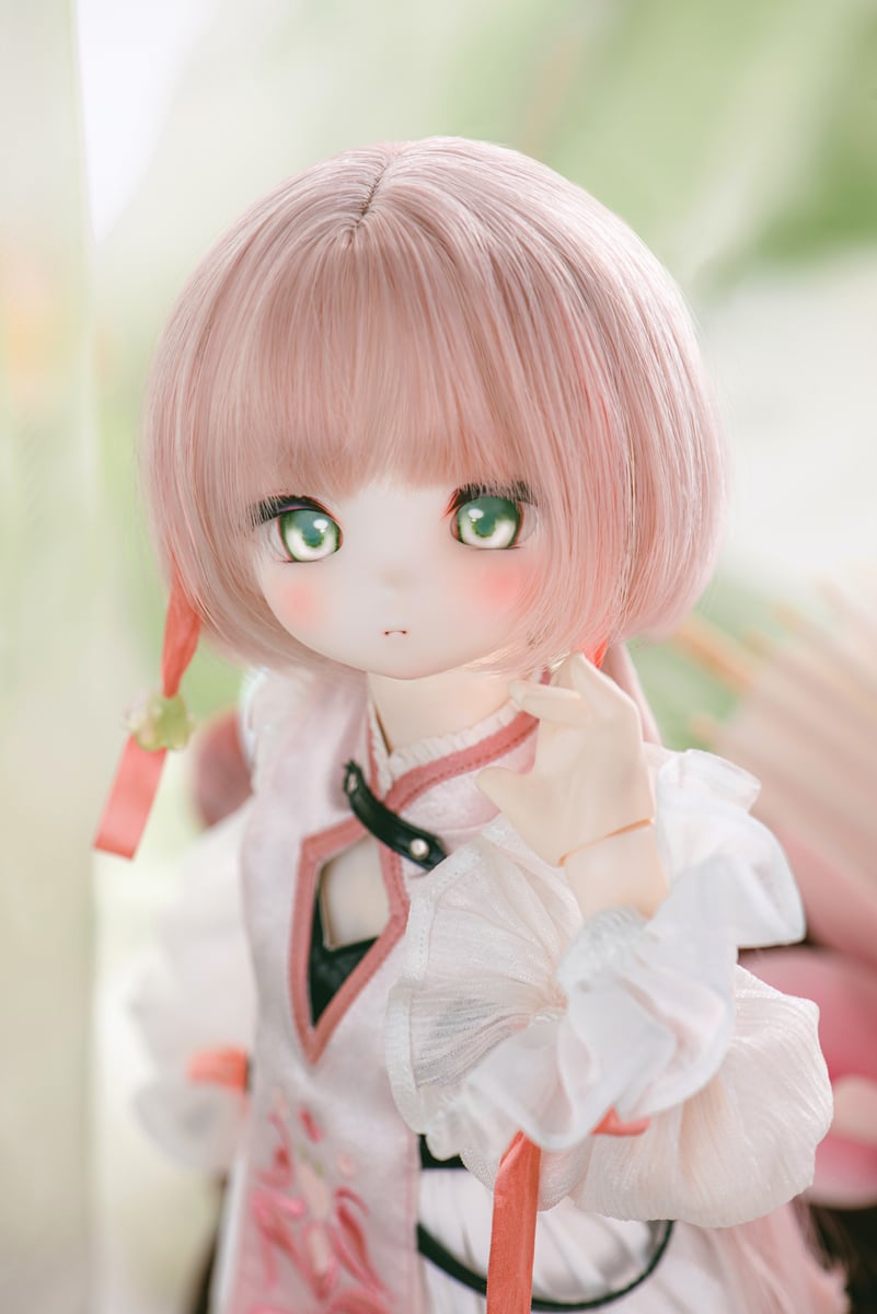 【予約販売：2024年8月以降 発送予定】 TinyFox MACOCOシ...