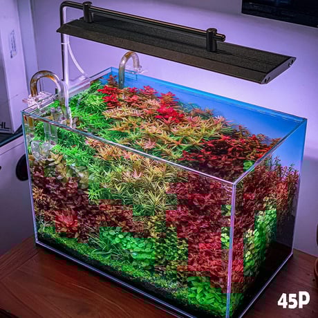 NEW AQUA FLARE UVA M300/M450/M600 RGB SE | アクアリ...