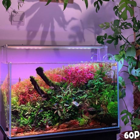 NEW AQUA FLARE UVA M450 RGB（旧版） | アクアリウム LEDライト...