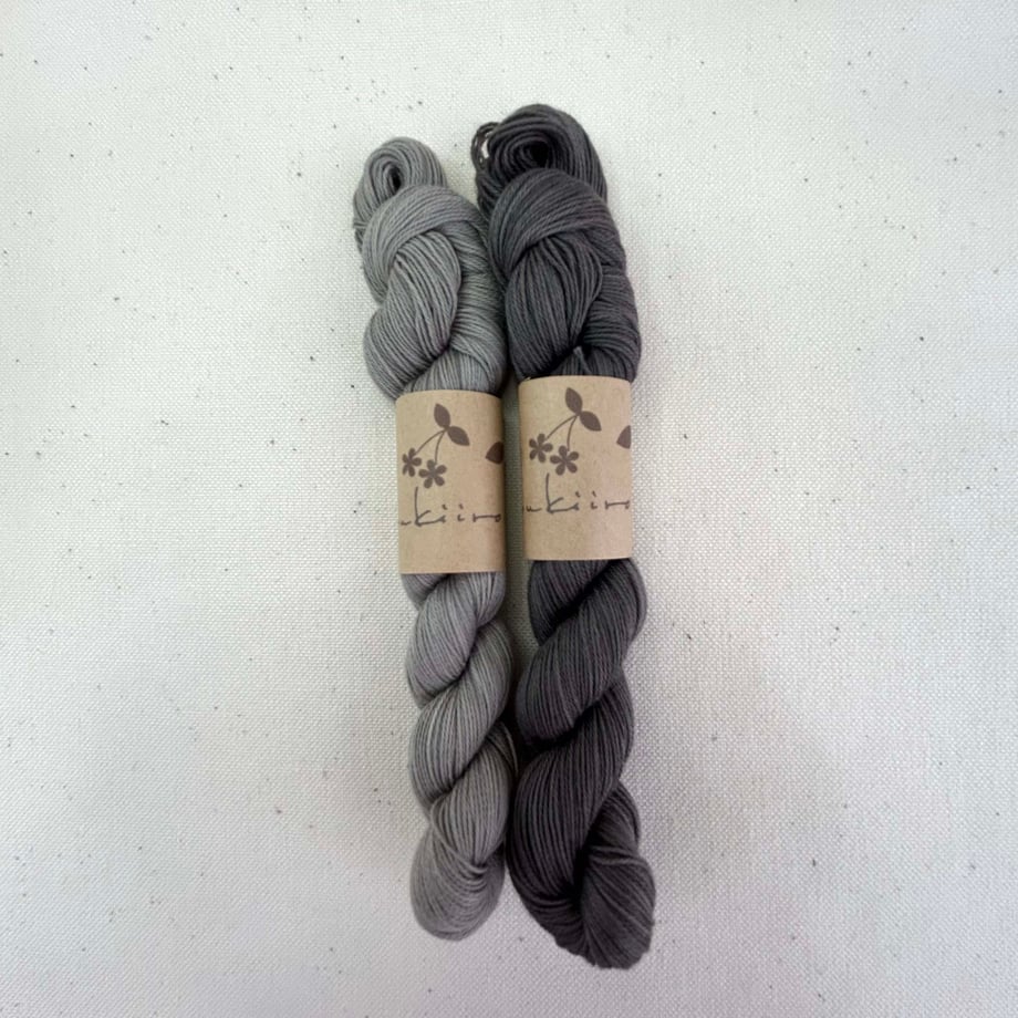 20/3 サルスベリ《2》 | 雪彩