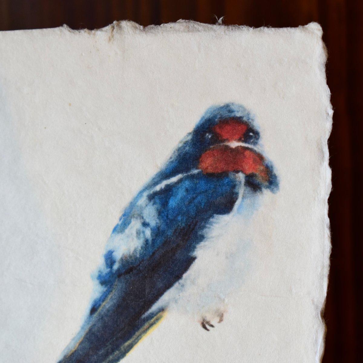 【野鳥】パステルアートの和紙ハガキ | WASHI ORIORI