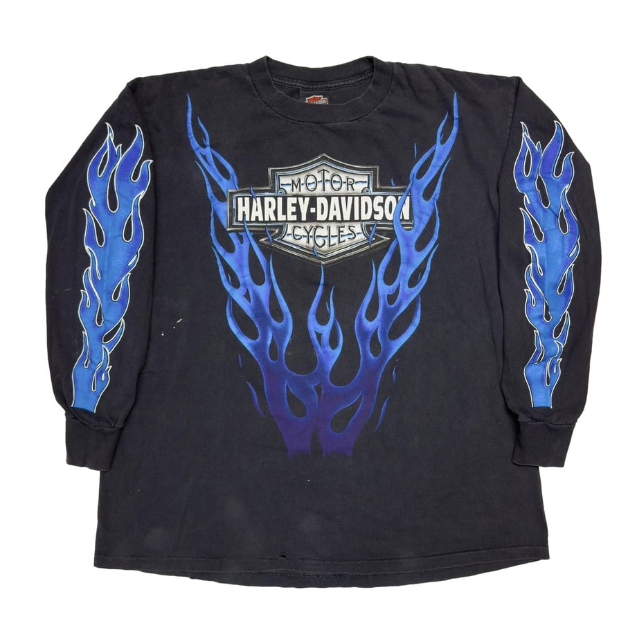 HARLEY DAVIDSON 1993 ROEDER BLUE FIRE FLAME LS ...