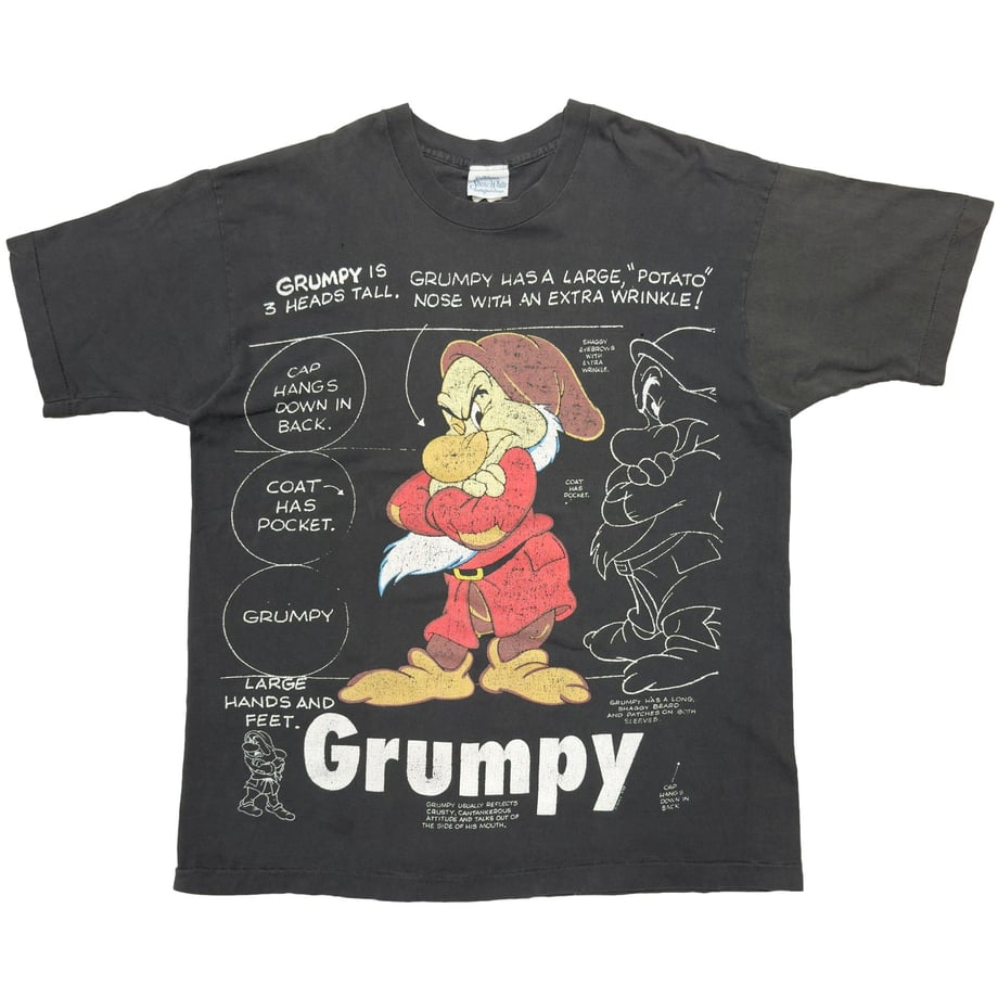 DISNEY VINTAGE GRUMPY FITS XL 3886 | greatLAnd ...