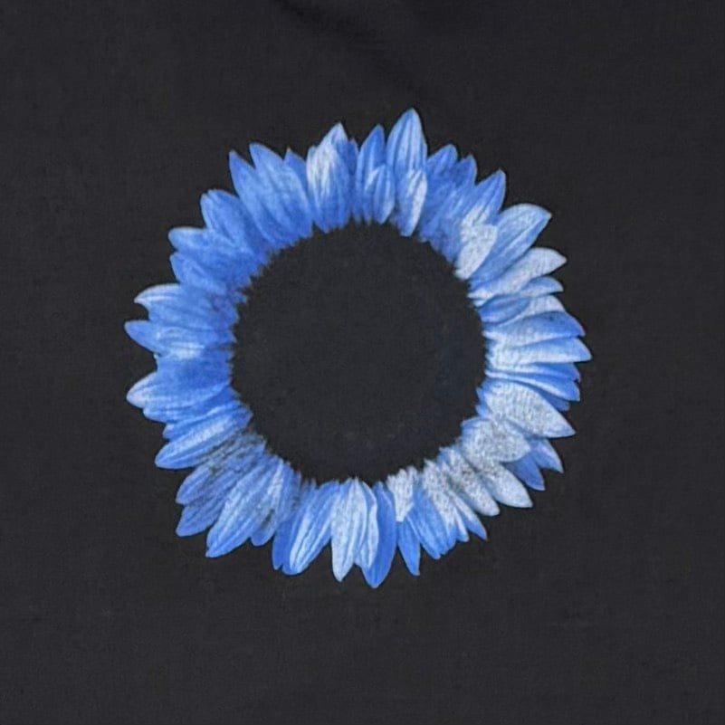 BUSH RAZORBLADE SUITCASE TOUR LS LARGE 3793 | g...