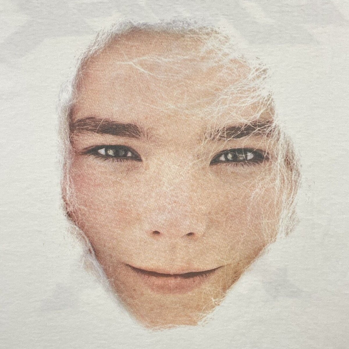 BJORK 1994 HUGE FACE WHITE PHOTO by Stephane Se...