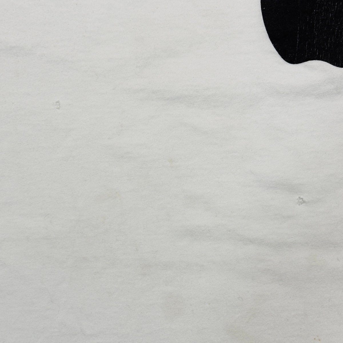 OLD & VINTAGE Apple LOGO BOOTLEG WHITE Champion...