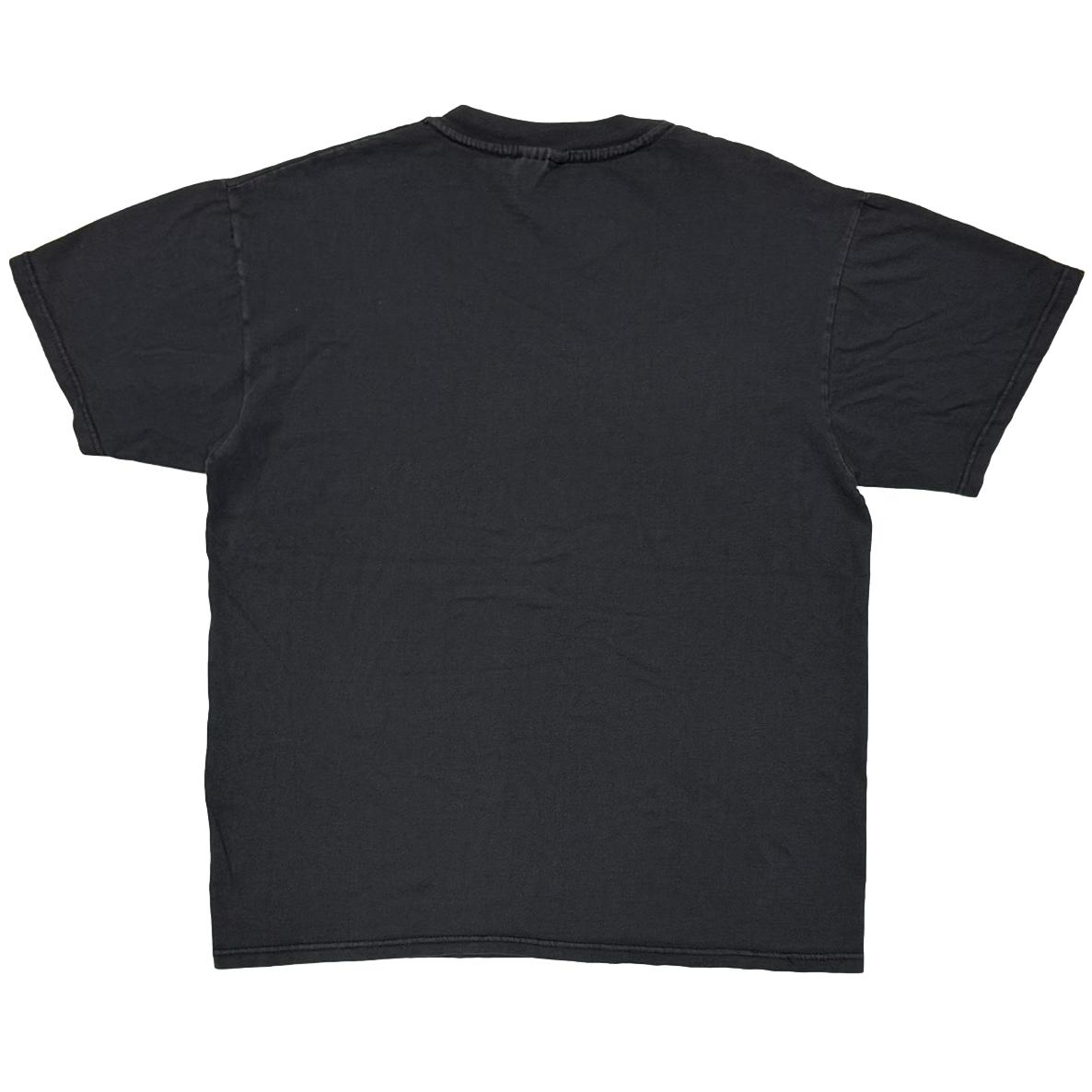 LEONARD DICAPRIO PORTRAIT HANES MEDIUM 8785 | g...