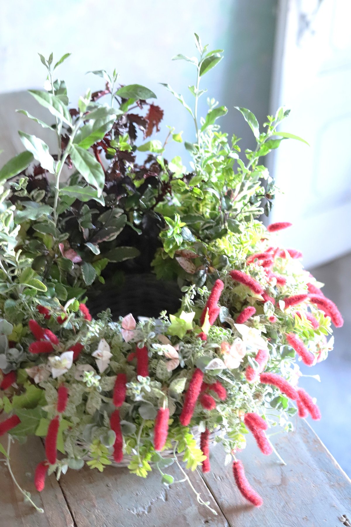 【Flovern Majoko暮らす（フローヴン・マジョコクラス）単学】6/14(土)Gree...