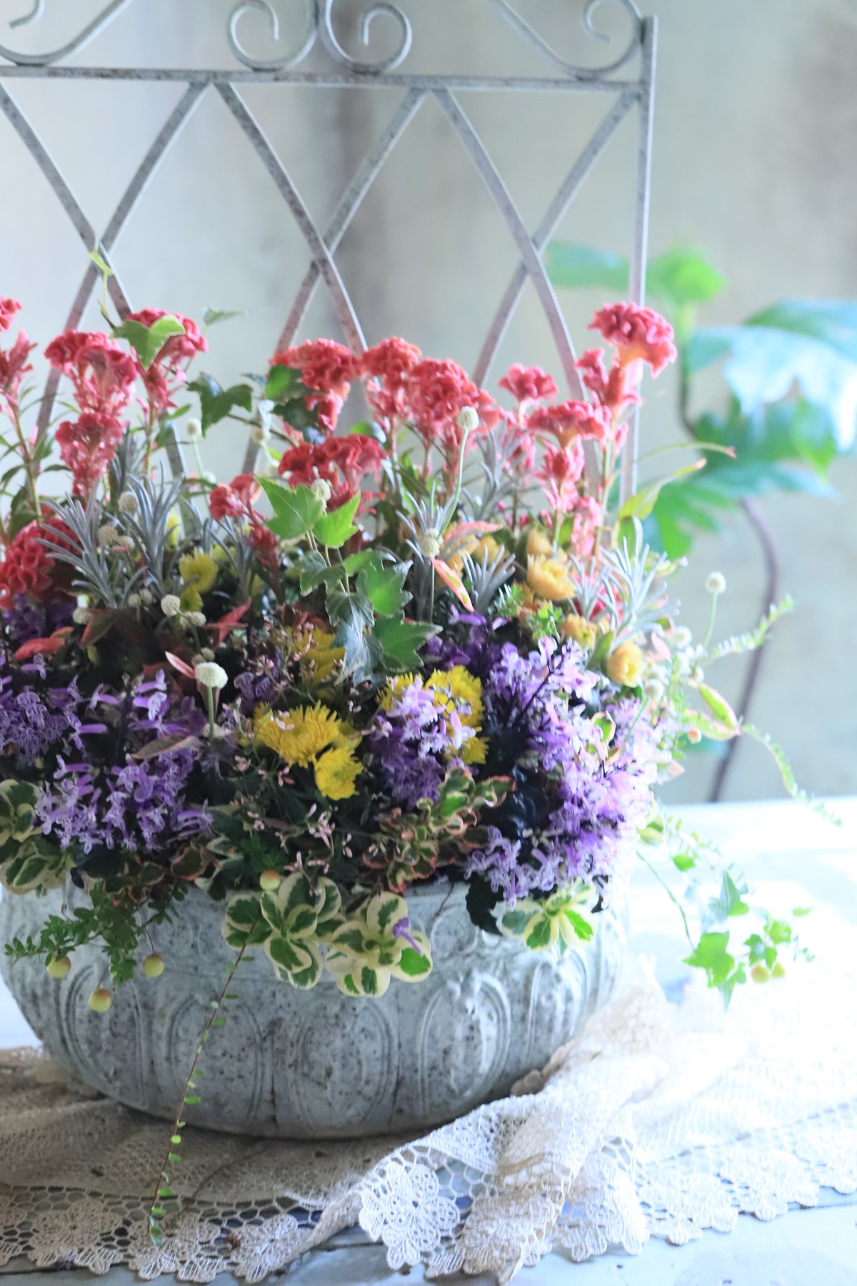 【Flovern Majoko暮らす（フローヴン・マジョコクラス）単学】9/13(土)Gree...