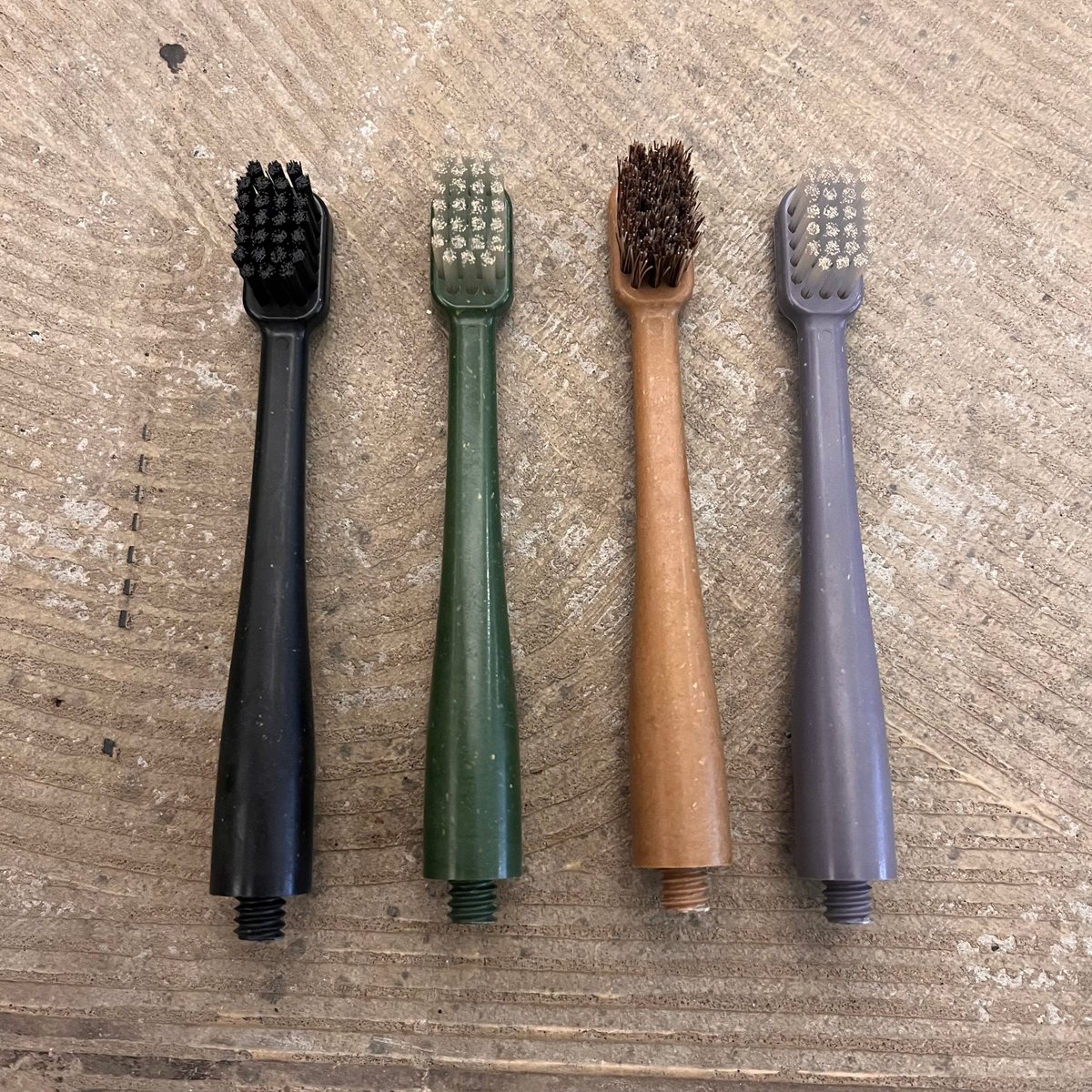 【ORAL MOUNTAIN】HEAD | TENt o TEN