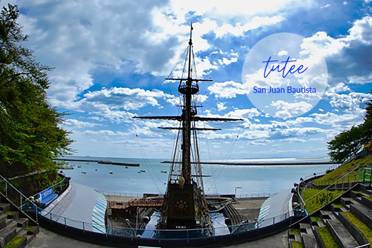 tutee〈トゥッティー〉とは・・ | tutee