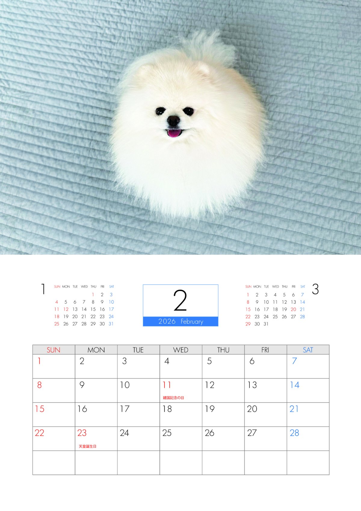 【予約販売】 ポテチ 犬 2026年 壁掛け カレンダー KA26304 | Anistar ...