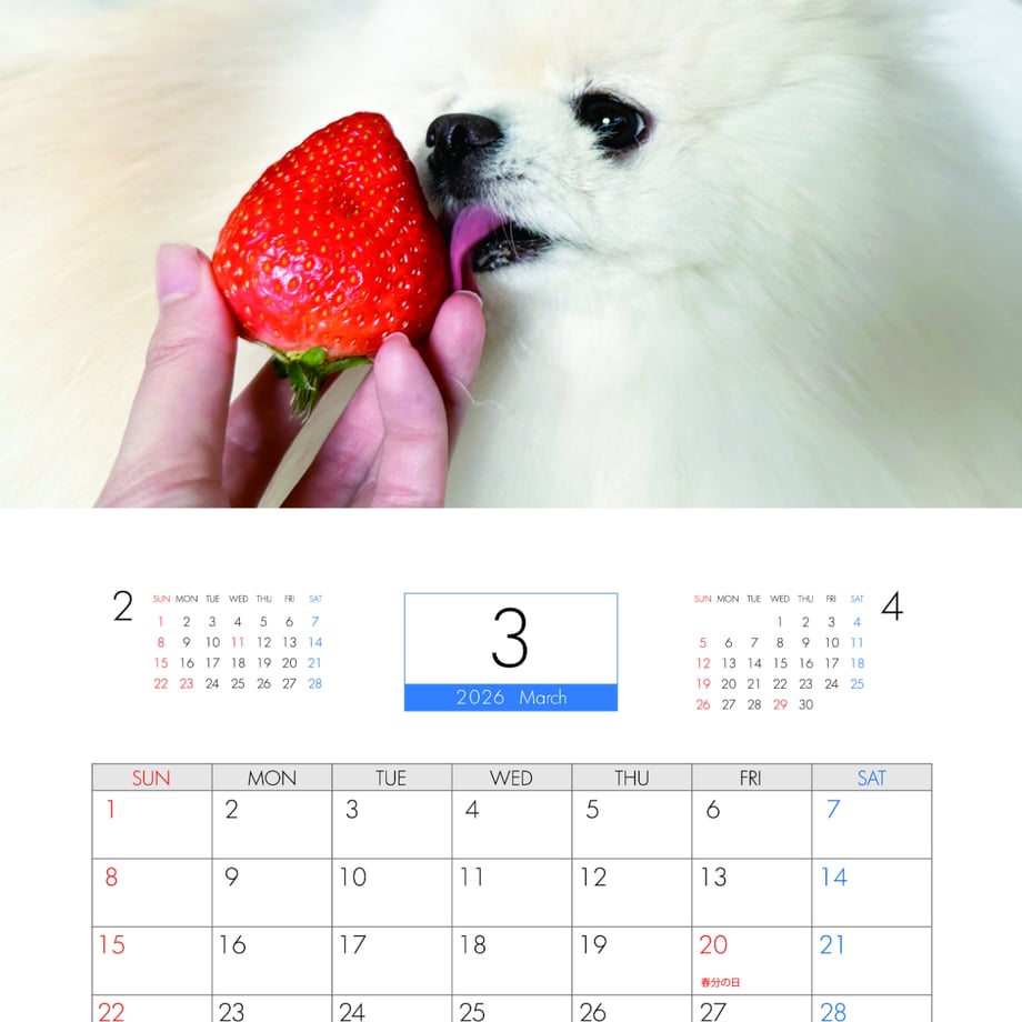 【予約販売】 ポテチ 犬 2026年 壁掛け カレンダー KA26304 | Anistar ...