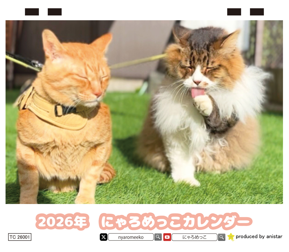 【予約販売】 猫のにゃろめっこ 2026年 卓上カレンダー TC26157 | Anistar...