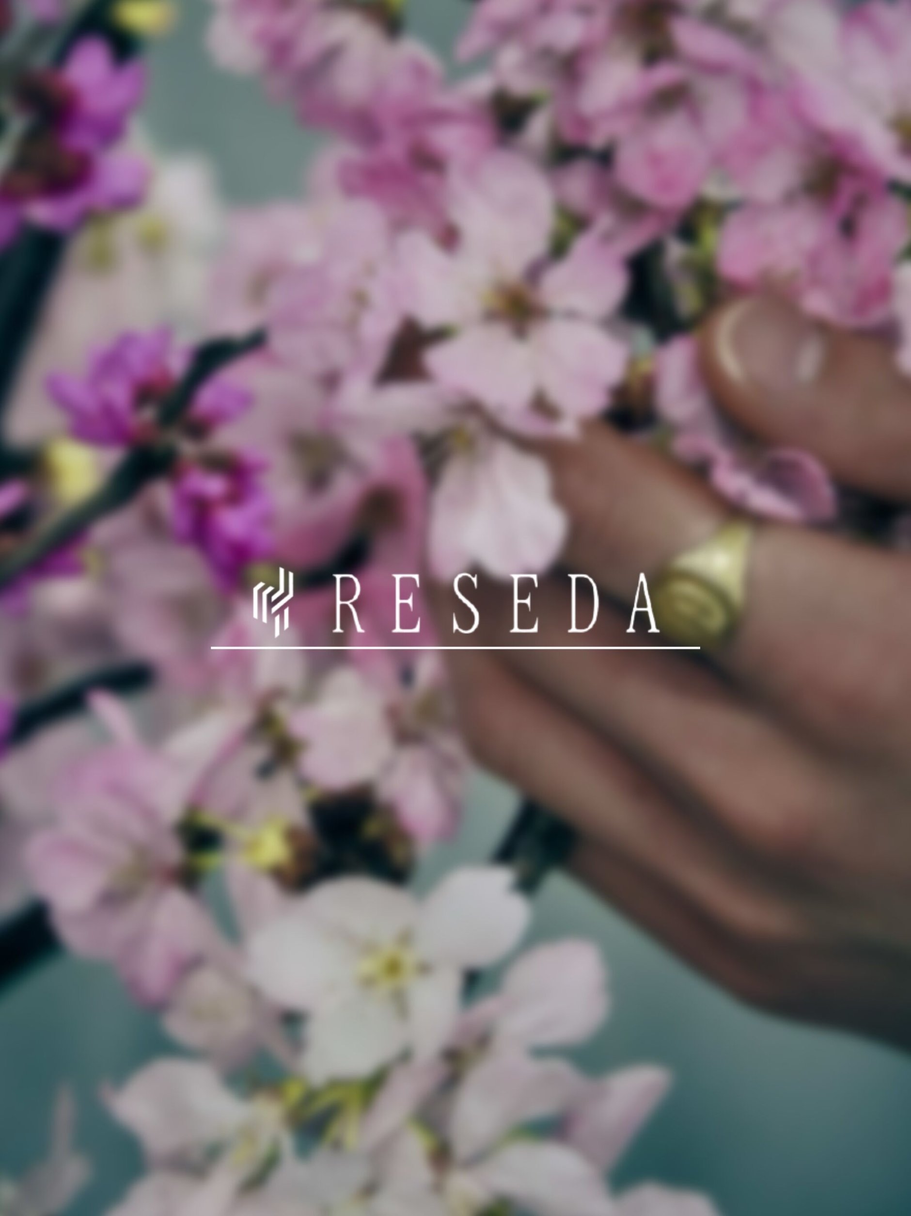 門松 | RESEDA
