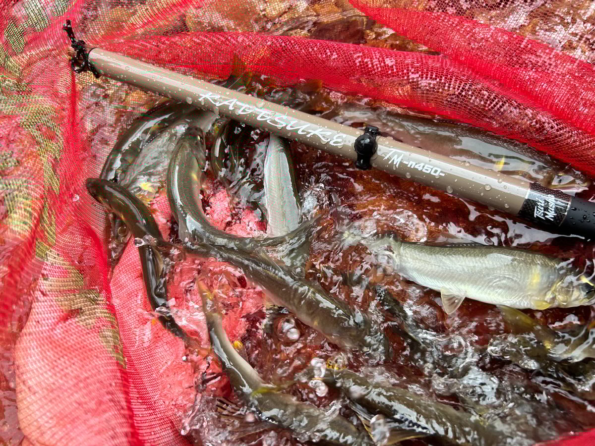 ★kattsuke TM n360・TM n450 | TsuriMusha公式オンラインストア