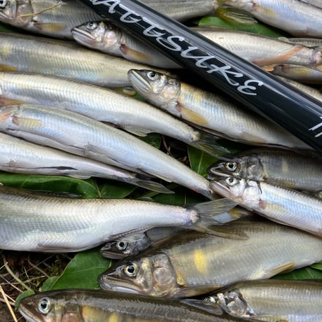 ★kattsuke TM n360・TM n450 | TsuriMusha公式オンラインストア