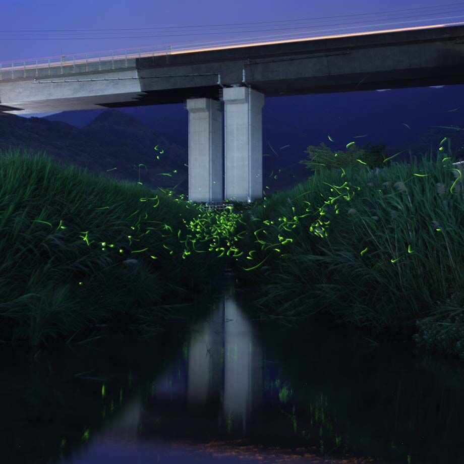 re:echo 錦螢(キンケイ) 720ml | 酒舗 彩-SAI- オンラインストア