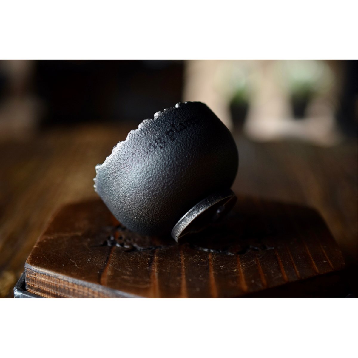 W.P Original Iron pot 穿豆 -SENZU- | Willing plant