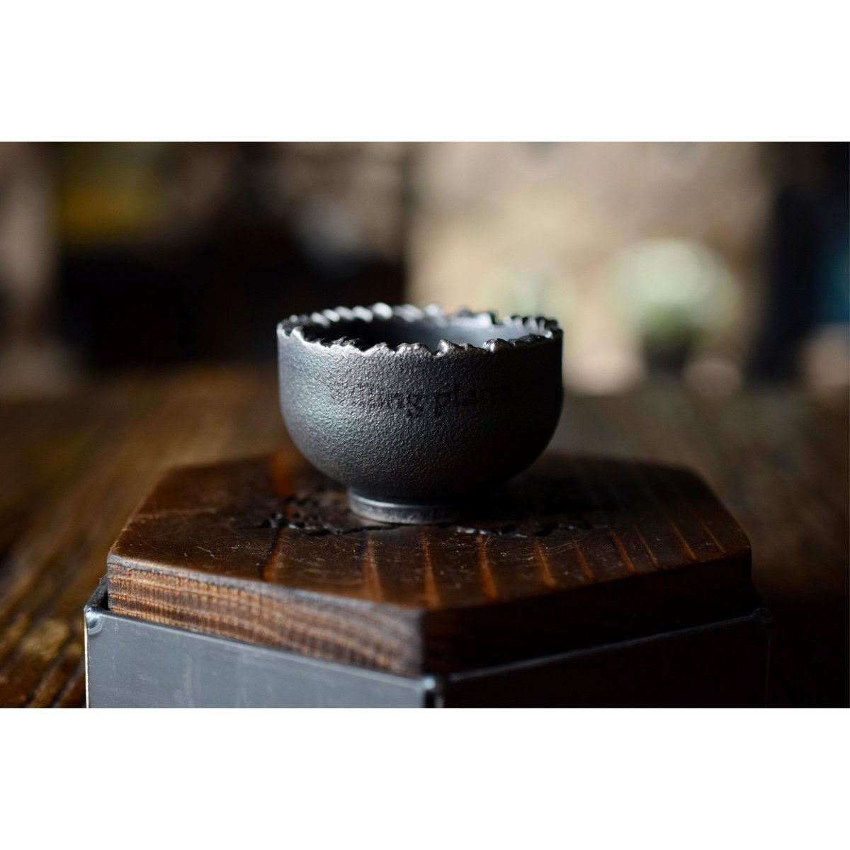 W.P Original Iron pot 穿豆 -SENZU- | Willing plant