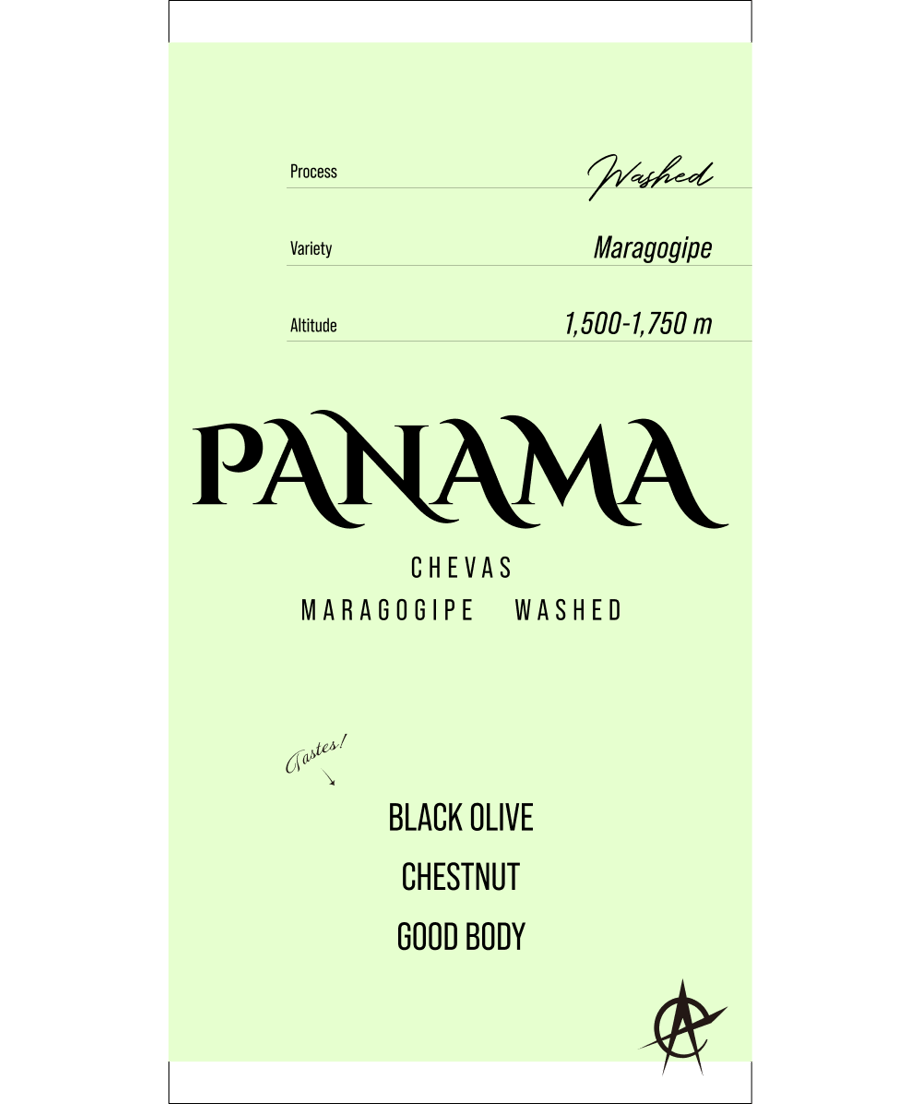 Panama Chevas Maragogipe Washed | acid coffee