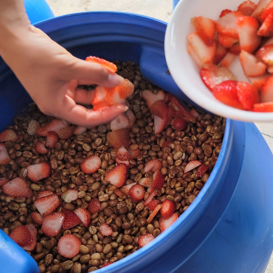 【90g】コロンビア ストロベリーインフュージョン | RIDGE COFFEE ROASTERY