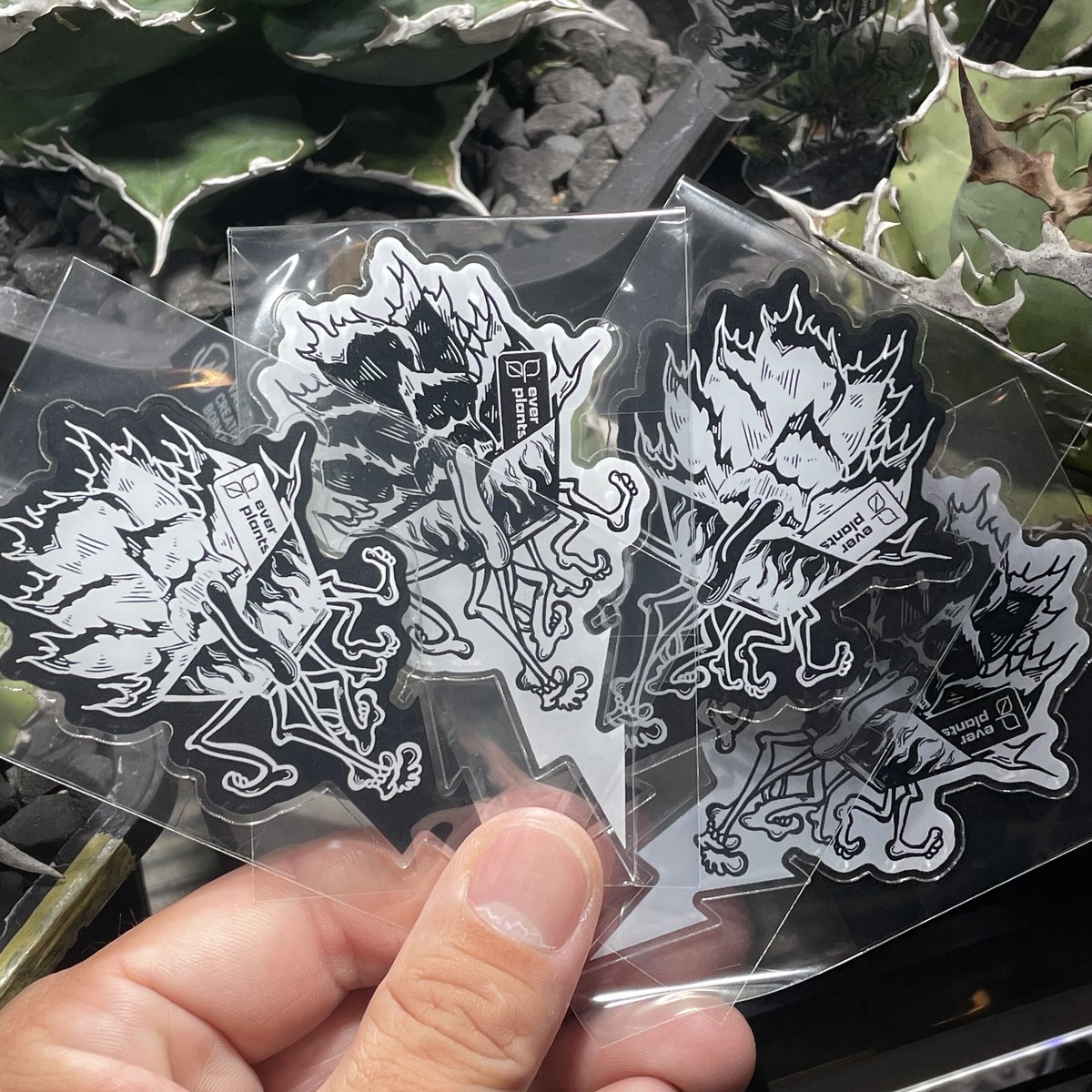 ever plantsオリジナルタグ | ever_plants