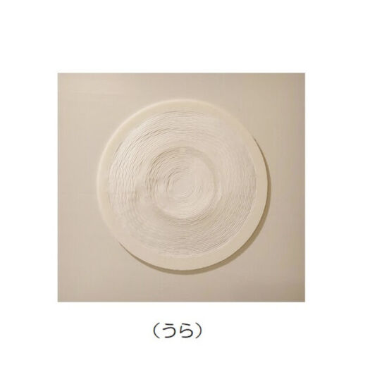 uke zara 104 立体に開くお風呂の排水口用うけざら（使い捨ての排水口用ごみ...