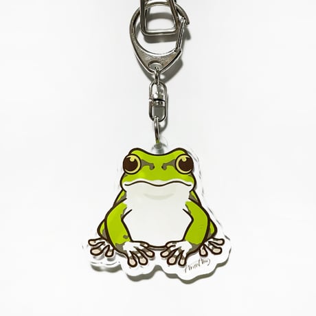 アマガエル | STORES アマガエル | STORES