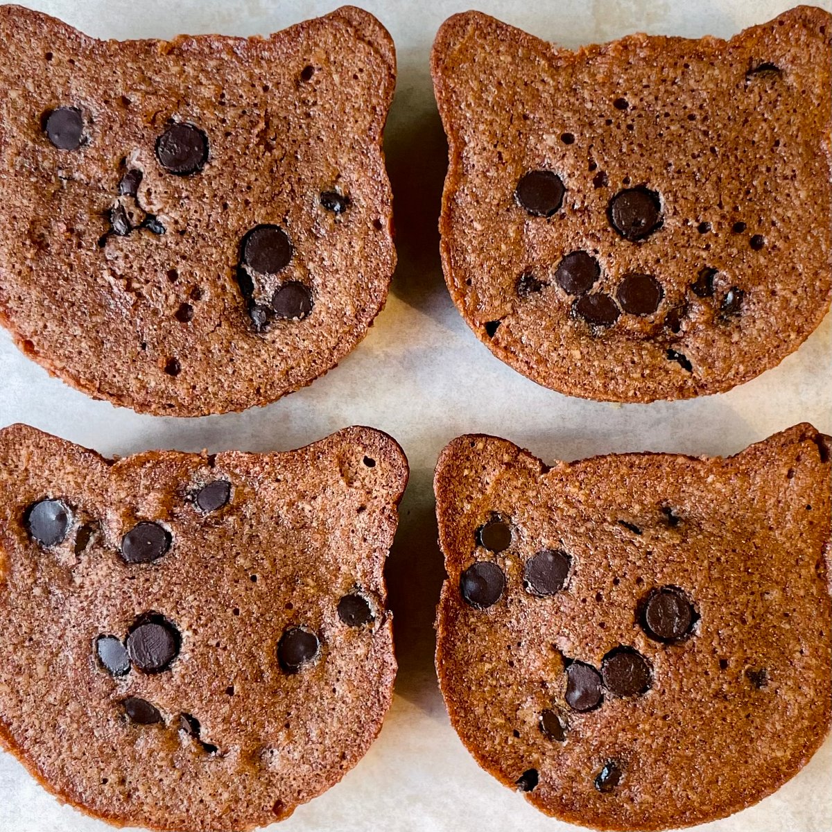 グシコロティータイムセレクト（おまけ付き） | CAT & BAKES 9456