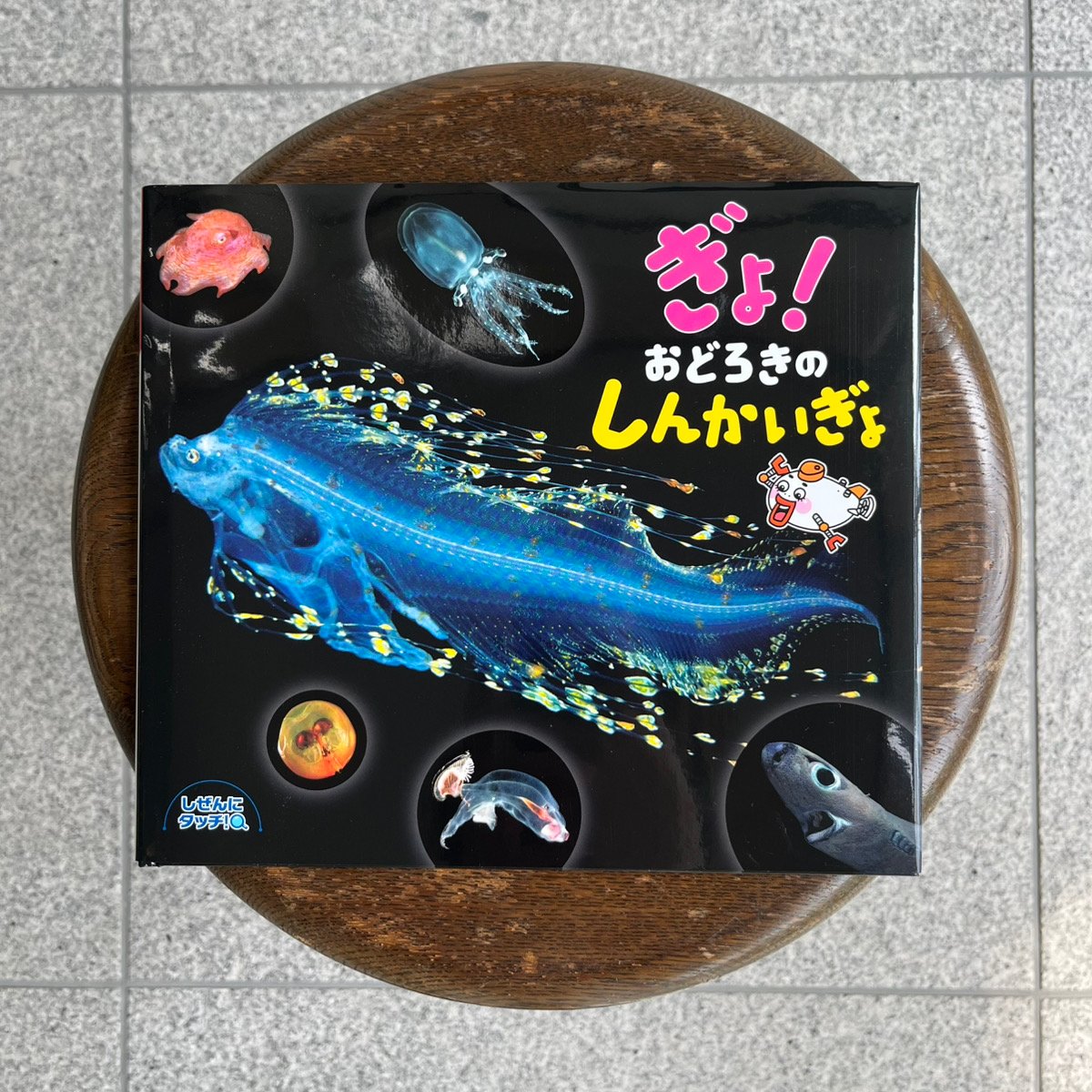 しぜんにタッチ！ ぎょ！ おどろきのしんかいぎょ | SAKANA BOOKS オンライン