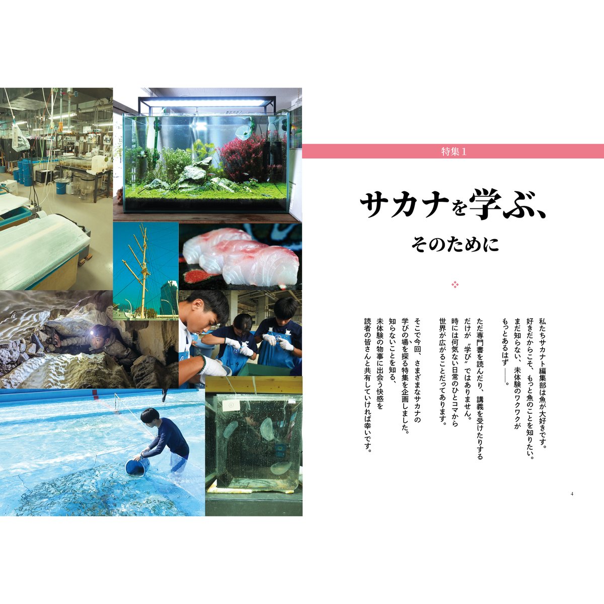 サカナト vol.2 | SAKANA BOOKS オンライン