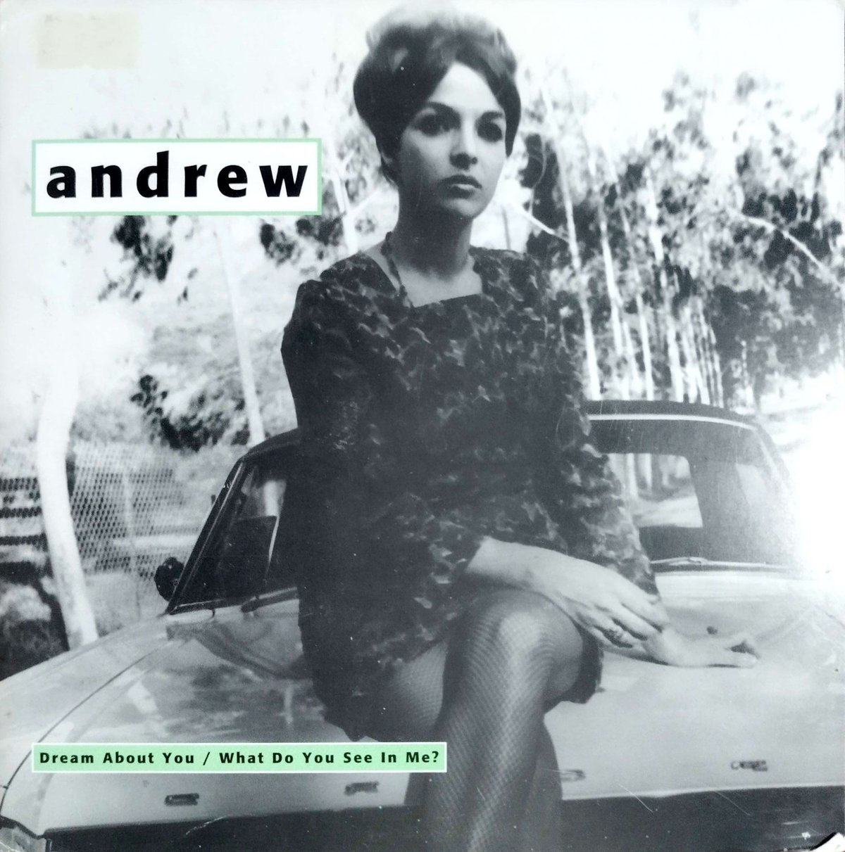 【7】 Andrew Sandoval / Dream About You | MeraMer...