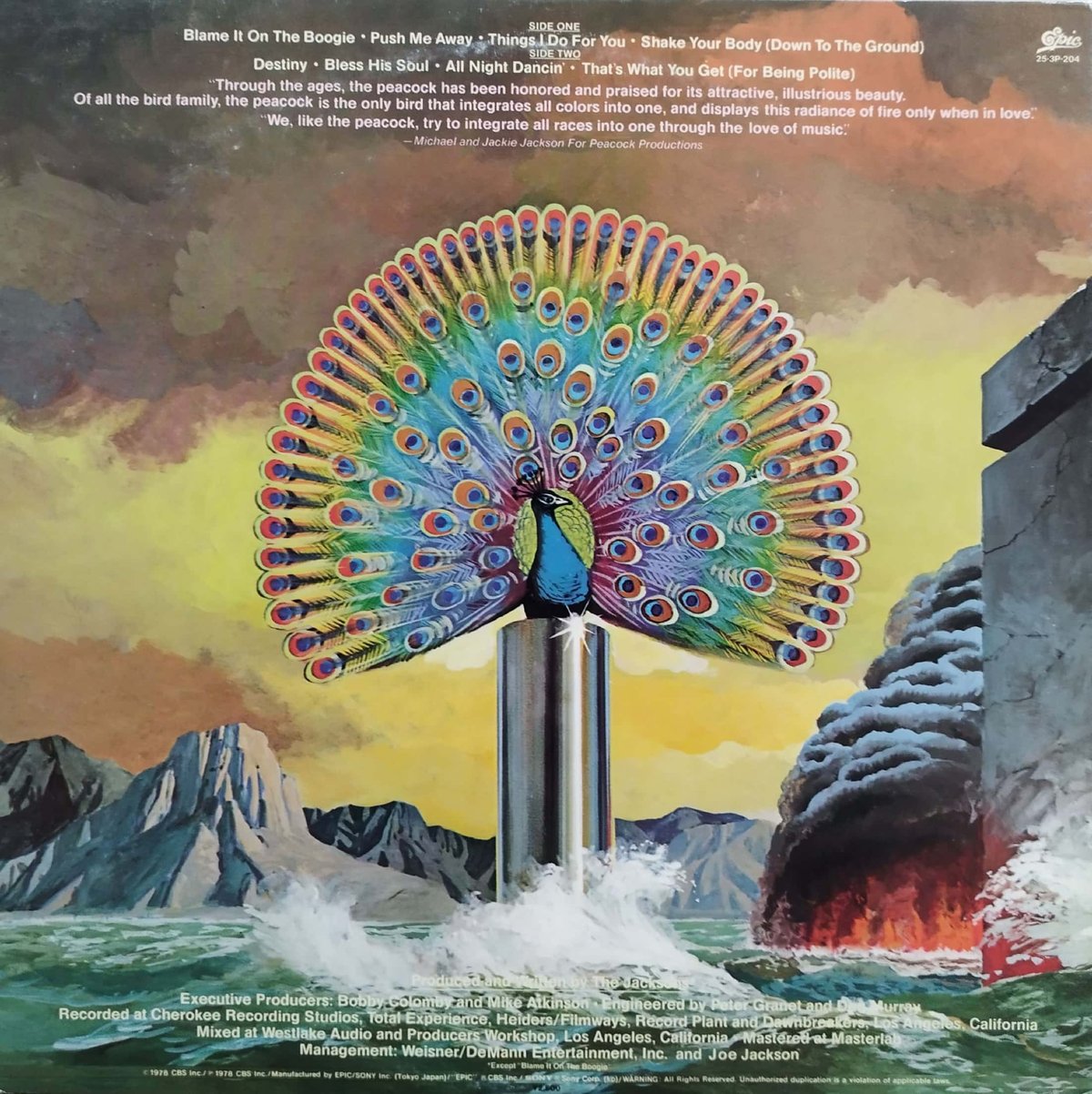 【LP】The Jacksons / Destiny | MeraMera Records