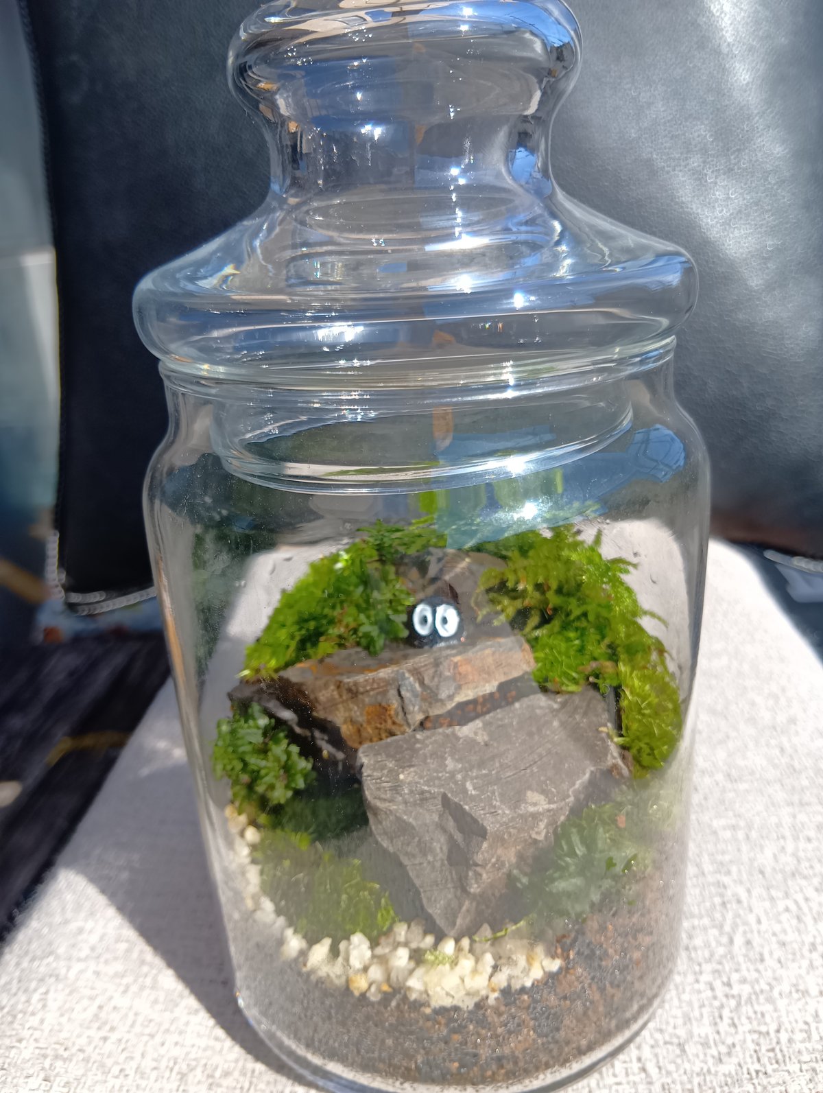 【1月17(土)・18(日)】MOSS garden ～MOSS～ | SAKUYA WORK...