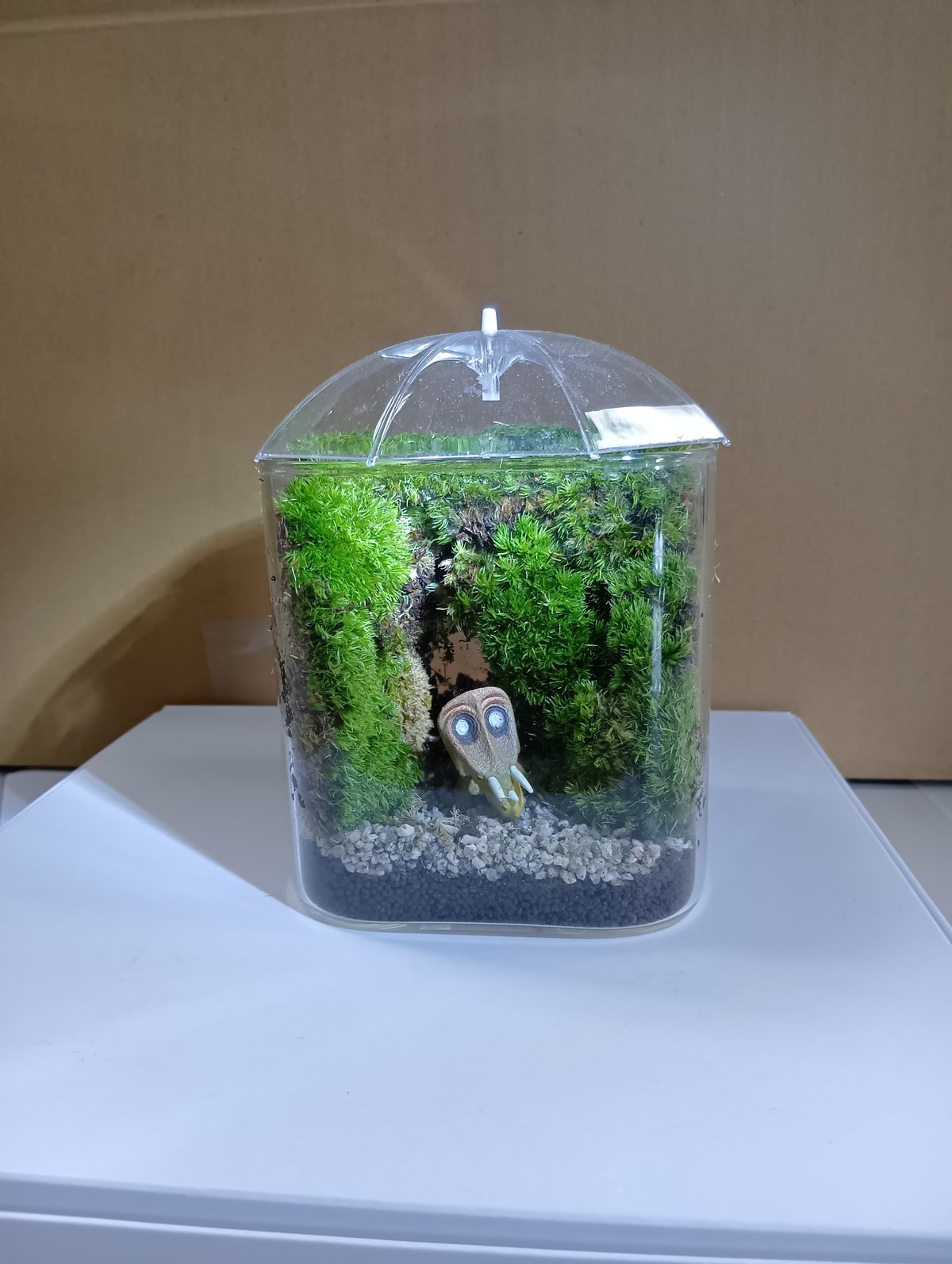 【1月17(土)・18(日)】MOSS garden ～MOSS～ | SAKUYA WORK...