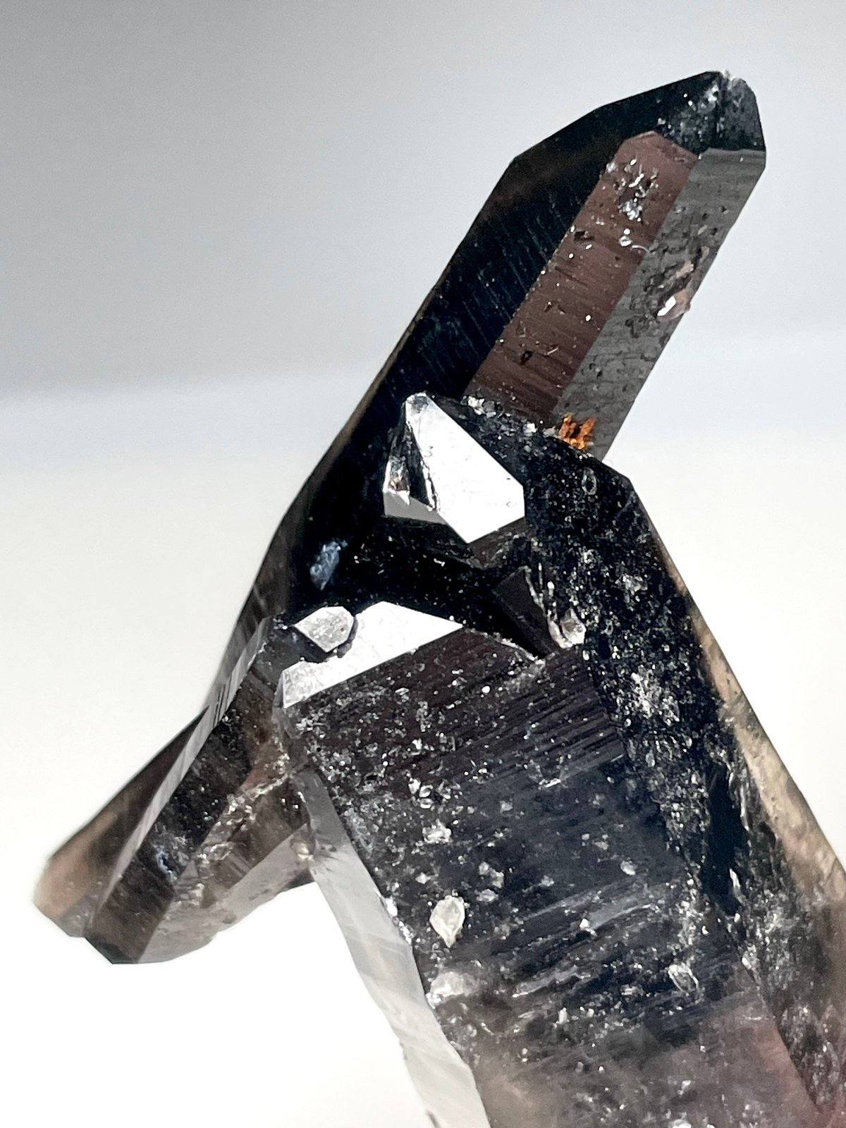 極上モリオン【黒水晶】ポイント◇クラスター◇天然石 極上モリオン【黒水晶】ポイント◇クラスター◇天然石