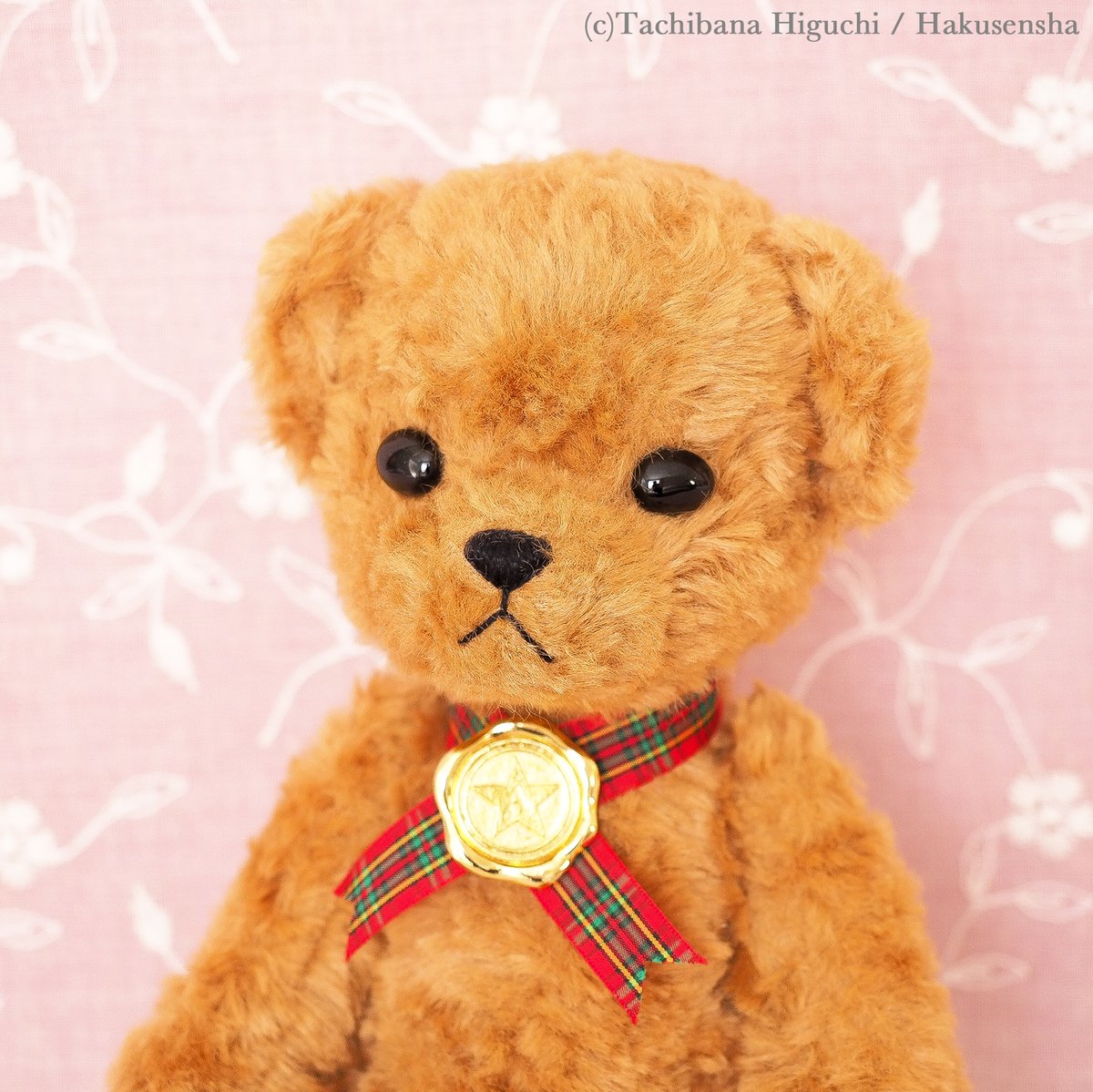 Gakuen Alice collaboration Mr. Bear stuffed ani...