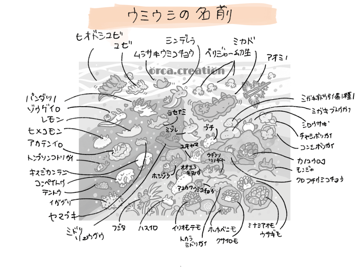 ウミウシ マウスパッド | orca.creation