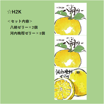 選べる！ゼリー3個セット（八朔） | 【BEMAC公式通販】えひめ自然の恵みギフト