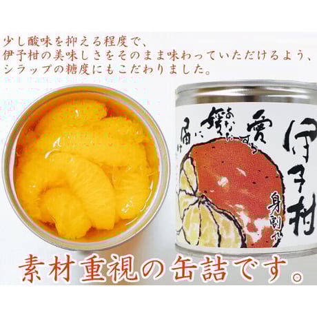 【愛媛県産】伊予柑缶詰 | 【BEMAC公式通販】えひめ自然の恵みギフト