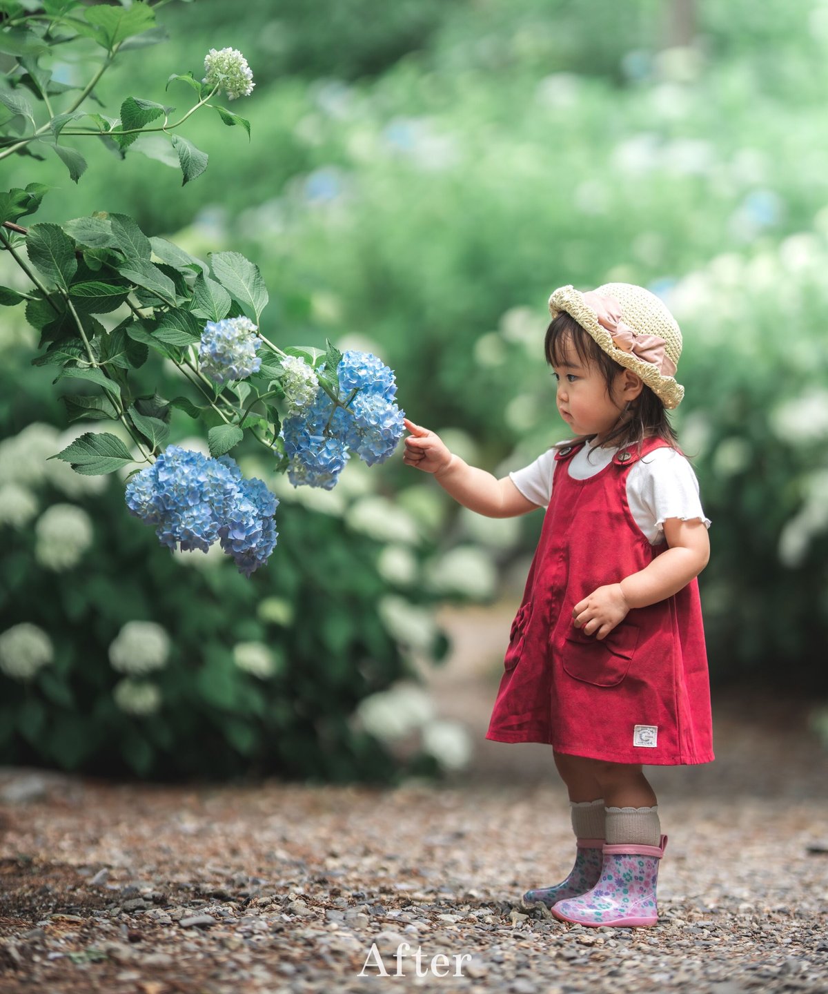 Fairy tale world "Hydrangea" | Masaya88's STORE