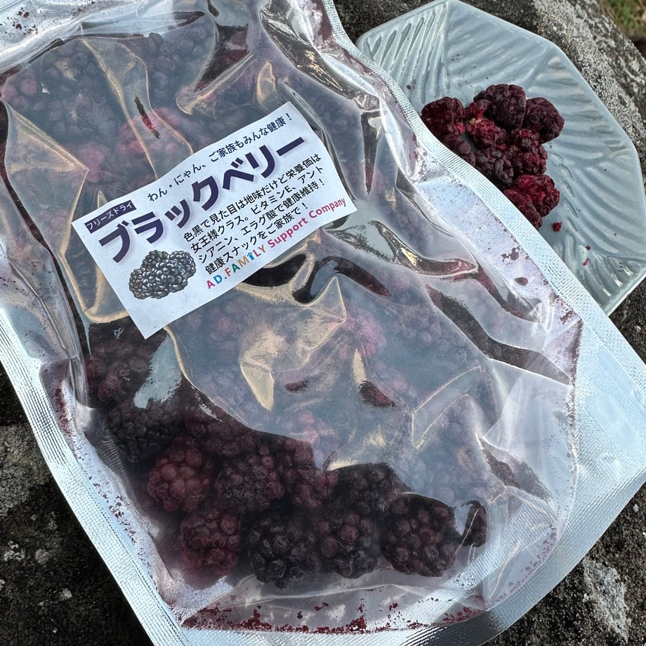 フリーズドライ ブラックベリー 36g | RIKKADOR